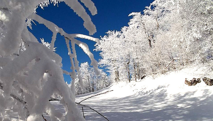 Coupon Rabais: 19$ pour une journée de ski complète au Mont Avalanche ...