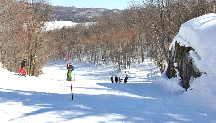 Coupon Rabais: 19$ pour une journée de ski complète au Mont Avalanche ...