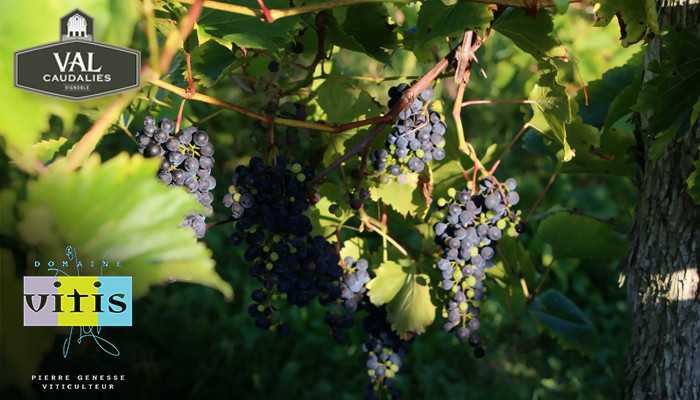 Coupon Rabais: 36$ pour une escapade pour 2 personnes incluant 2 bouteilles de vin (valeur de 76 ...